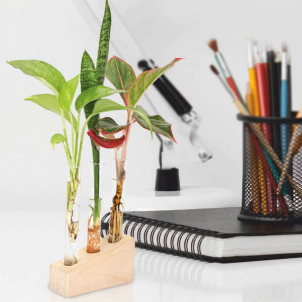 Test Tube Planter – Gardencia Technology